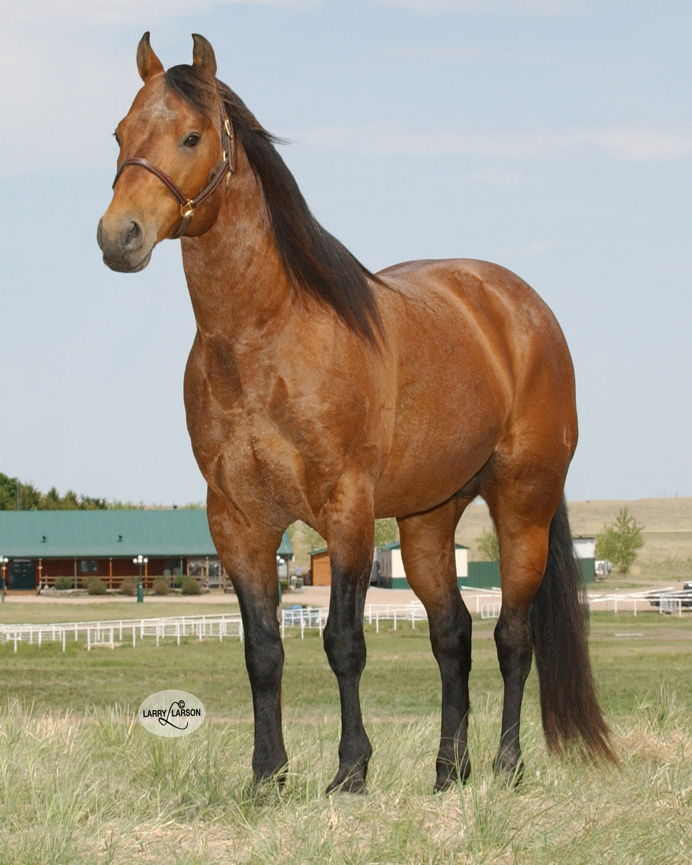 Four Six Hancock aka "Four Six" - Haythorn