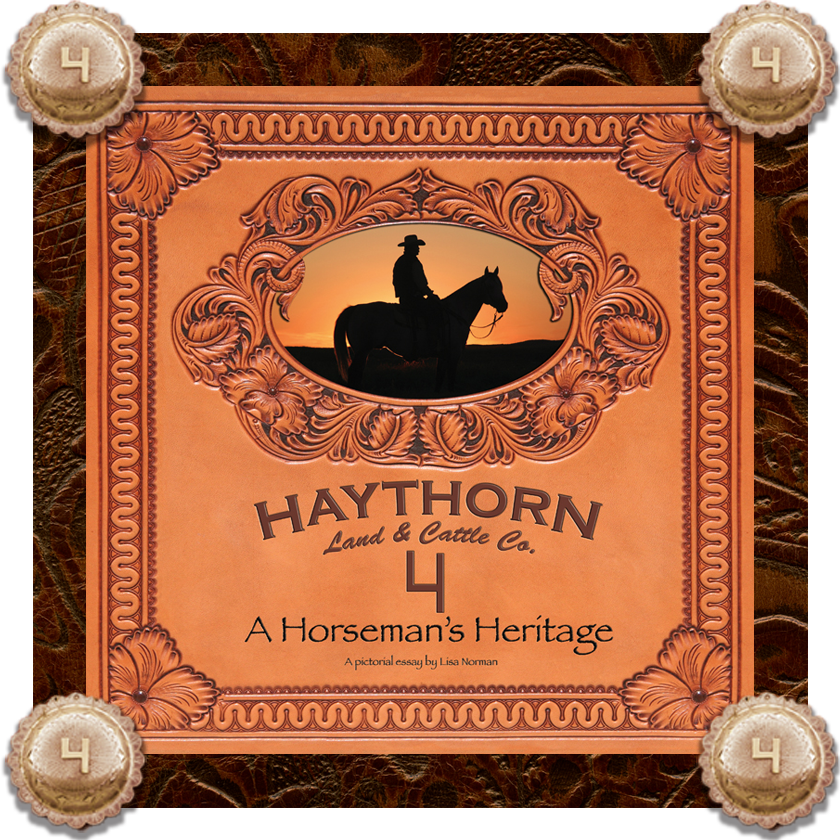 Haythorn Land & Cattle Company History - HaythornHaythorn
