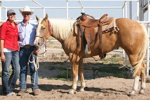 Haythorn Land & Cattle Co. Ranch NewsHaythorn