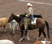 Haythorn Land & Cattle Co. Ranch NewsHaythorn