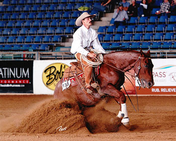 Haythorn Land & Cattle Co. Ranch NewsHaythorn