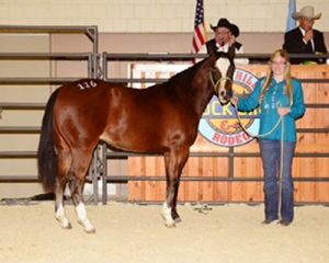 Haythorn Land & Cattle Co. Ranch NewsHaythorn
